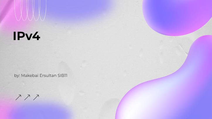 [Презентация] IPv4