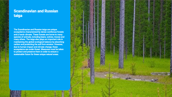 [Презентация] Scandinavian and Russian taiga