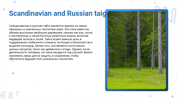 [Презентация] Scandinavian and Russian taiga