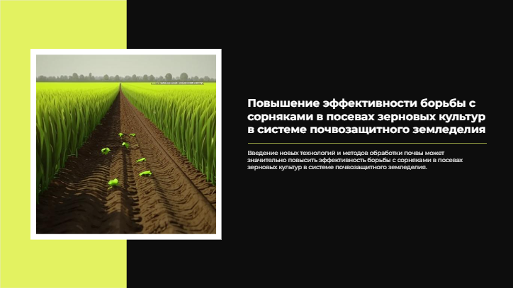 [Презентация] Повышение эффективности борьбы с сорняками в посевах ...