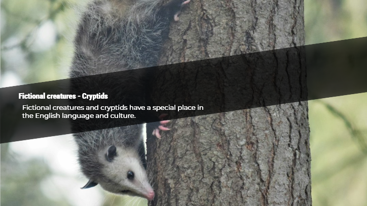 [Презентация] Fictional creatures - Cryptids
