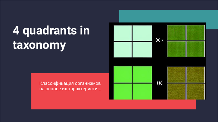 [Презентация] 4 quadrants in taxonomy