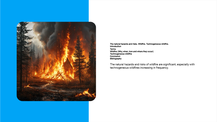 [Презентация] The natural hazards and risks. Wildfire. Technogeneous ...
